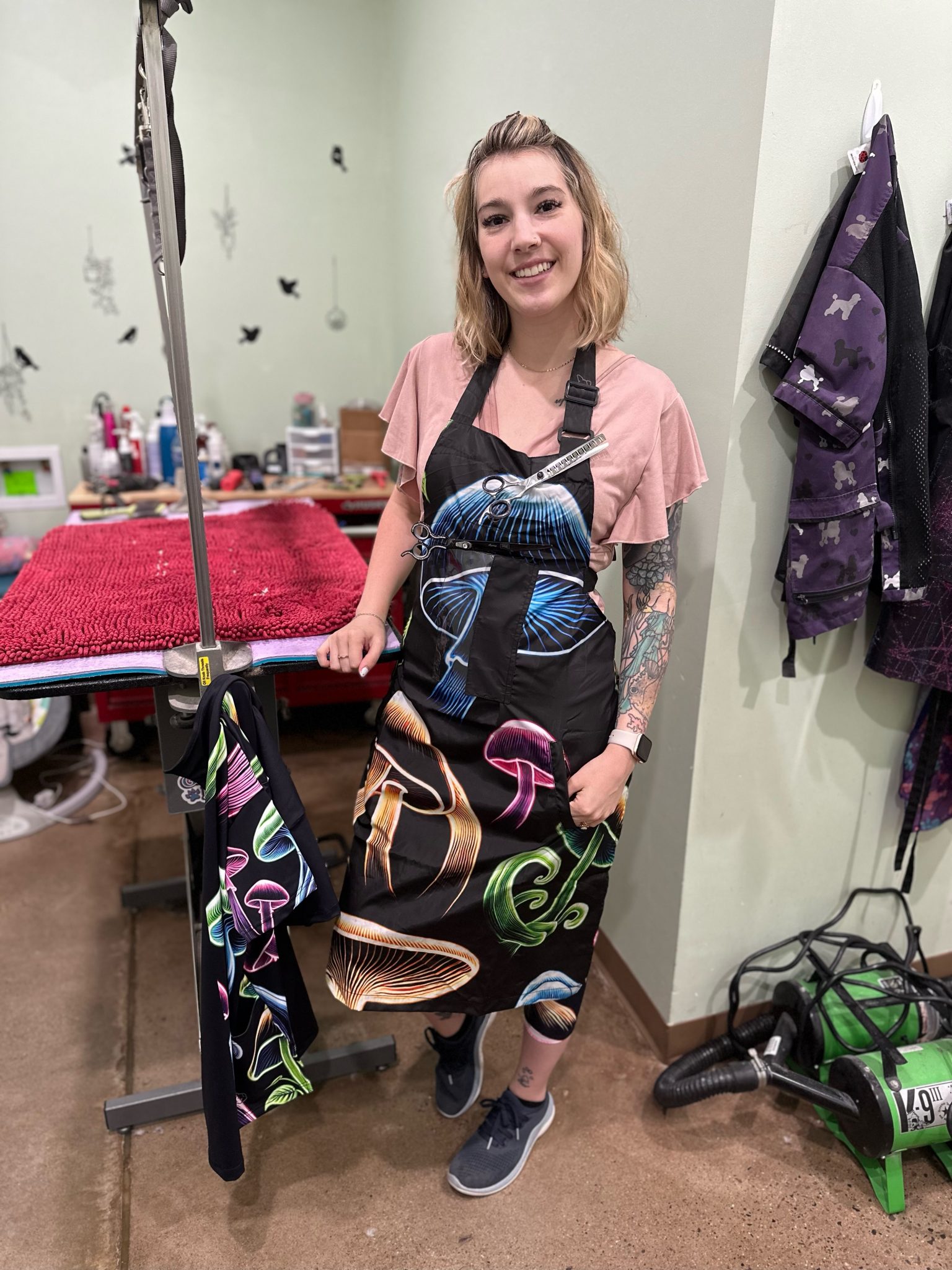 Magnetico Aprons with Hands Free Streaming and more - Loyalty Pet Products