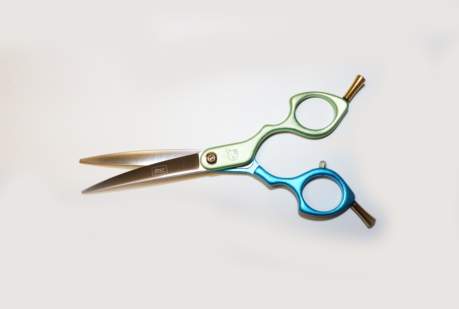 inno out - Loyalty Pet Products